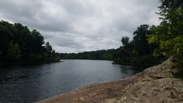 Team Kentucky Digital Art Gallery - Kentucky Governor Andy Beshear