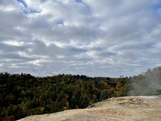 Team Kentucky Digital Art Gallery - Kentucky Governor Andy Beshear