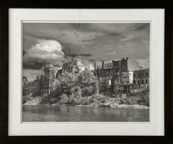 Team Kentucky Digital Art Gallery - Kentucky Governor Andy Beshear