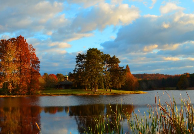 Team Kentucky Digital Art Gallery - Kentucky Governor Andy Beshear