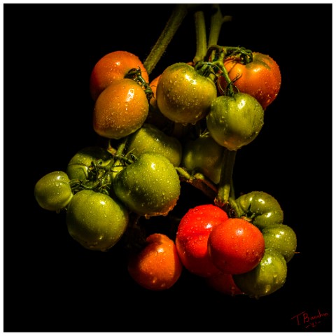 Team Kentucky Digital Art Gallery - Kentucky Governor Andy Beshear